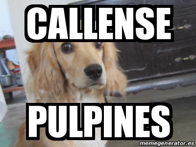 Meme Personalizado - callense pulpines - 16915949