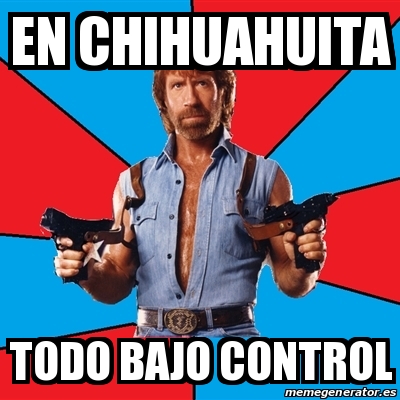 Meme Chuck Norris - En Chihuahuita Todo bajo control - 16933018