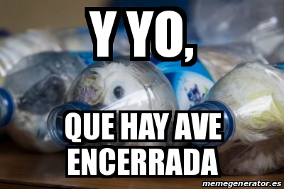 Meme Personalizado - Y YO, QUE HAY AVE ENCERRADA - 16958066