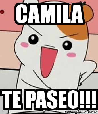 Meme Personalizado - CAMILA TE PASEO!!! - 16994479