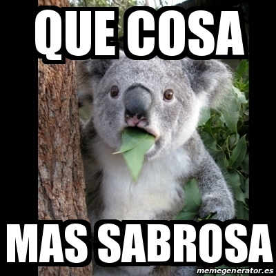 Meme Koala - que cosa mas sabrosa - 17171919