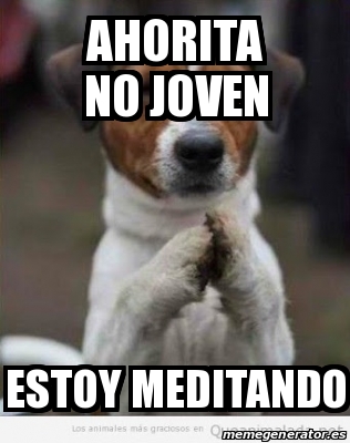 Meme Personalizado - Ahorita no joven Estoy meditando - 17235874