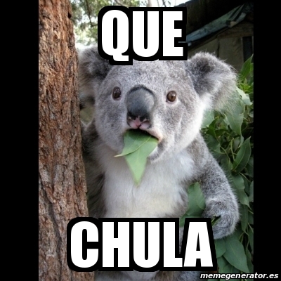 Meme Koala - Que Chula - 17240170