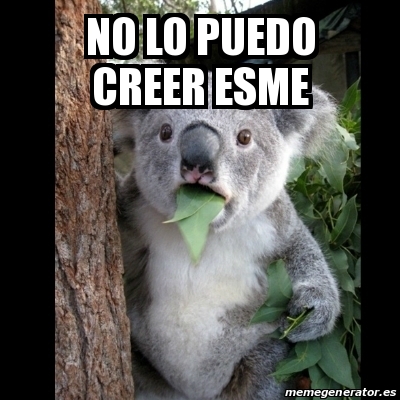 Meme Koala - no lo puedo creer esme - 17264616