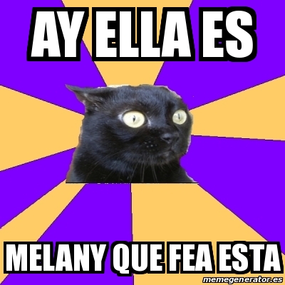 Meme Anxiety Cat - ay ella es melany que fea esta - 17265523