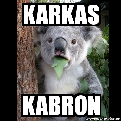 Meme Koala - KARKAS KABRON - 17294207