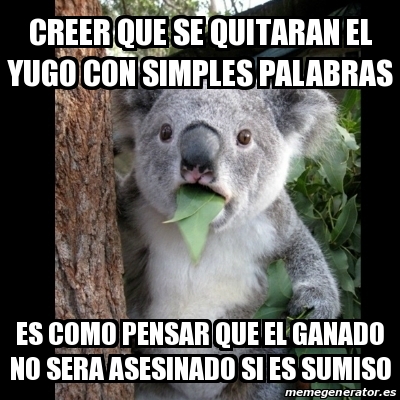 Meme Koala - creer que se quitaran el yugo con simples palabras es como ...