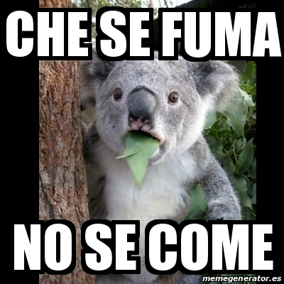 Meme Koala - che se fuma no se come - 17361123