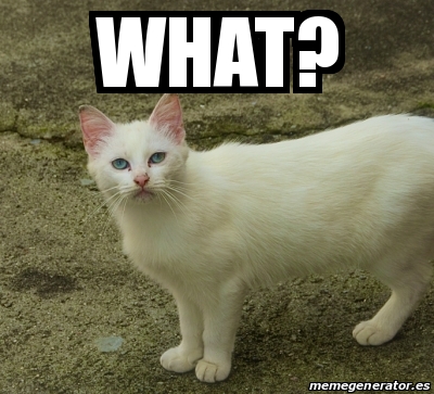 Meme Personalizado - what? - 17372259