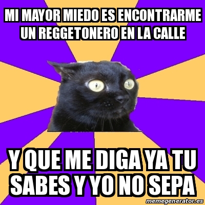 Meme Anxiety Cat - mi mayor miedo es encontrarme un reggetonero en la ...