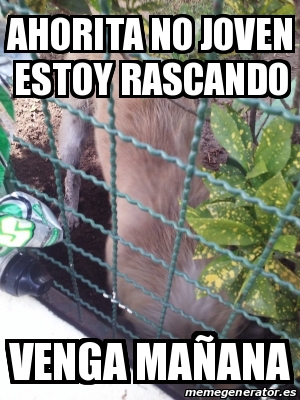 Meme Personalizado - ahorita no joven estoy rascando venga maÃ±ana ...