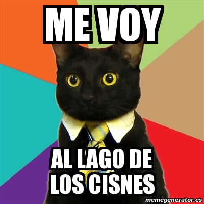 Meme Business Cat - me voy al lago de los cisnes - 17427146