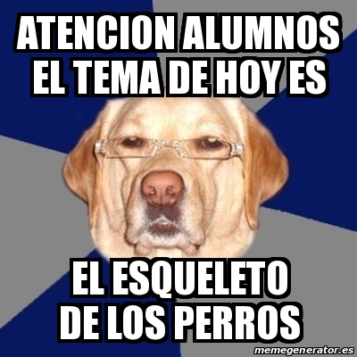 Meme Perro Racista - atencion alumnos el tema de hoy es el esqueleto de ...