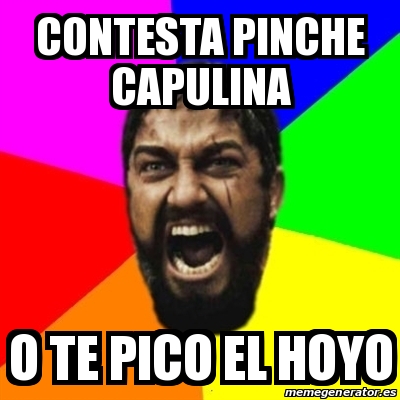 Meme Sparta - Contesta pinche capulina O te pico el hoyo - 17465405