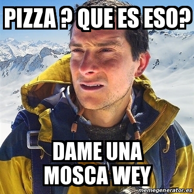 Meme Bear Grylls - pizza ? que es eso? dame una mosca wey - 17521453