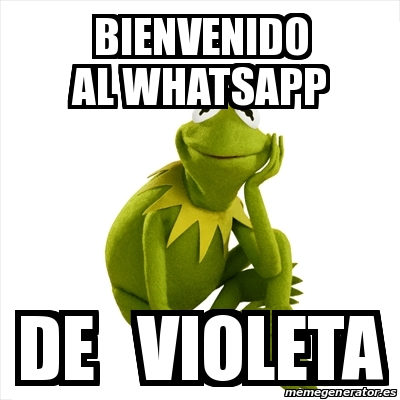 Meme Kermit the frog - BIENVENIDO AL WHATSAPP DE VIOLETA - 17533559