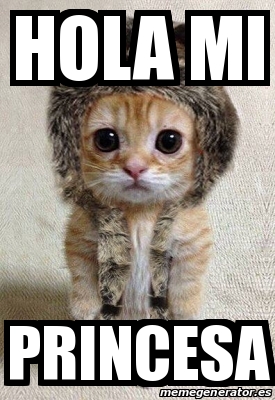 Meme Personalizado - Hola mi Princesa - 17651925