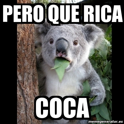 Meme Koala - pero que rica coca - 17685865