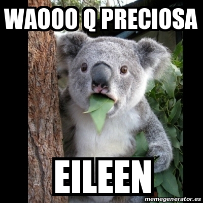 Meme Koala - waooo q preciosa eileen - 17712165