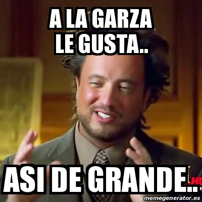 Meme Ancient Aliens - a la garza le gusta.. asi de grande.. - 17731047