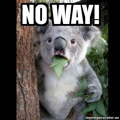 Meme Koala - NO way! - 17764212