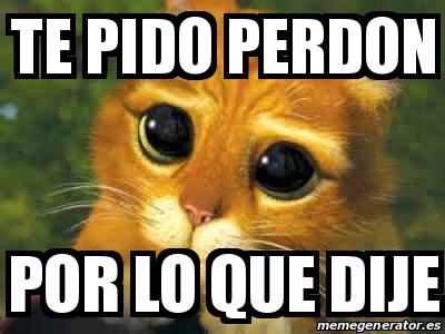 Meme Personalizado - te pido perdon por lo que dije - 17770124