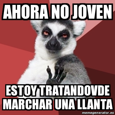 Meme Chill Out Lemur - Ahora no joven estoy tratandovde marchar una ...