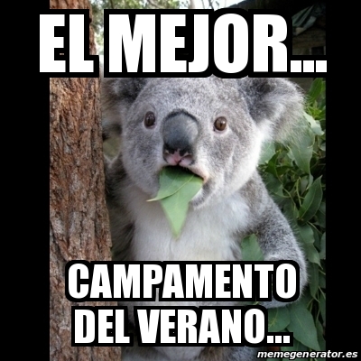 Meme Koala - El mejor... Campamento del Verano... - 17791099