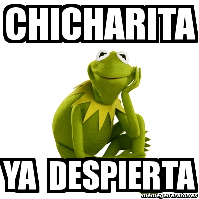 Meme Kermit the frog - Chicharita ya despierta - 17794206