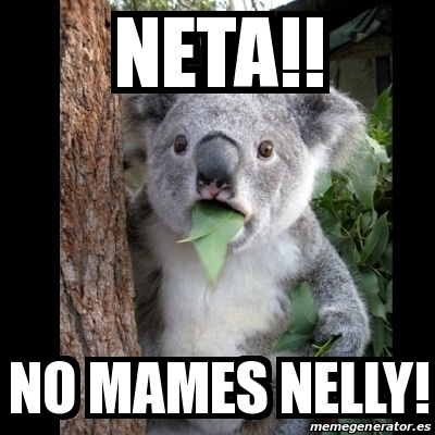 Meme Koala - NETA!! NO MAMES NELLY! - 17080492