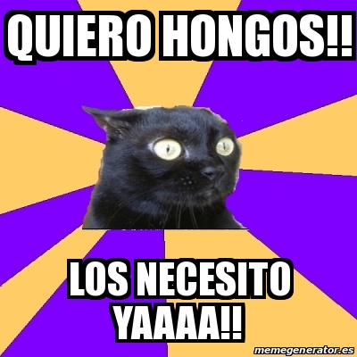 Meme Anxiety Cat - Quiero hongos!! Los necesito yaaaa!! - 17081274
