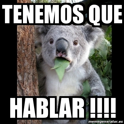 Meme Koala - Tenemos que hablar !!!! - 17877556