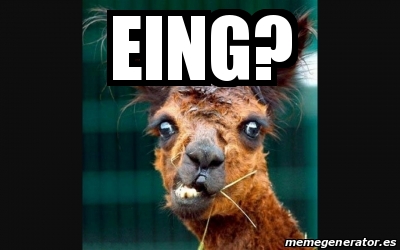Meme Personalizado - Eing? - 17878293