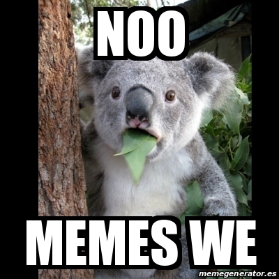 Meme Koala - Noo Memes we - 17894402