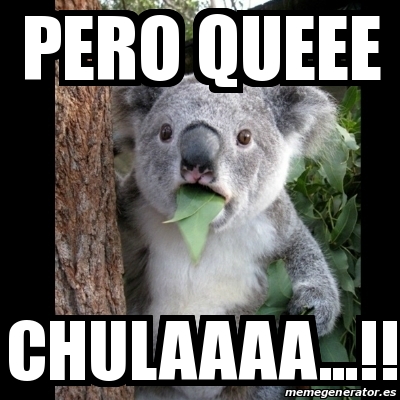 Meme Koala - pero queee chulaaaa...!! - 17896673