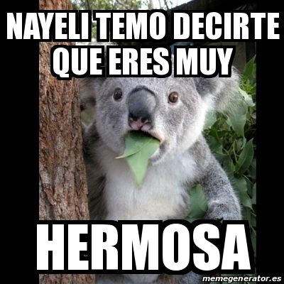 Meme Koala - nayeli temo decirte que eres muy hermosa - 17096953
