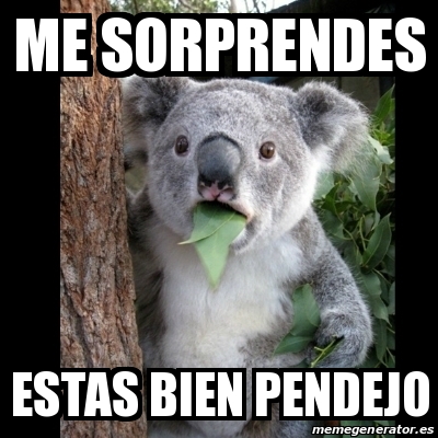 Meme Koala - me sorprendes estas bien pendejo - 17901319
