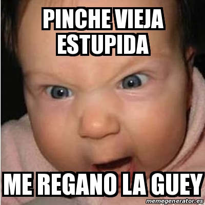 Meme Bebe furioso - pinche vieja estupida me regano la guey - 17925071