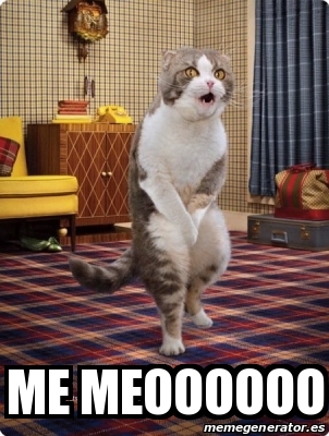 Meme Personalizado - me meoooooo - 17949787