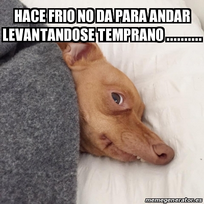 Meme Personalizado - hace frio no da para andar levantandose temprano ...