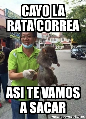 Meme Personalizado - CAYO LA RATA CORREA ASI TE VAMOS A SACAR - 17953056
