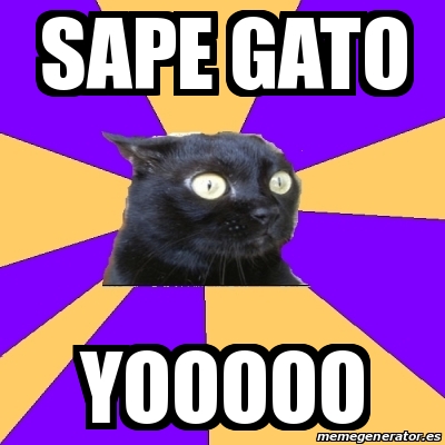 Meme Anxiety Cat - sape gato yooooo - 17966908