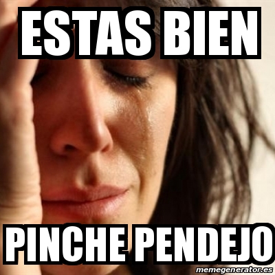 Meme Problems - estas bien pinche pendejo - 18006548