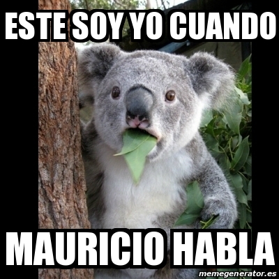 Meme Koala - este soy yo cuando Mauricio habla - 18124557
