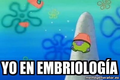 Meme Personalizado - Yo en EmbriologÃ­a - 18152275