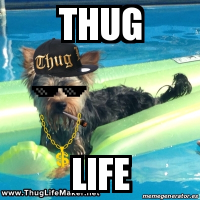 Meme Personalizado - thug life - 18153157