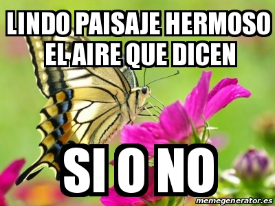 Meme Personalizado - lindo paisaje HERMOSO EL aire que DICEN si o no ...