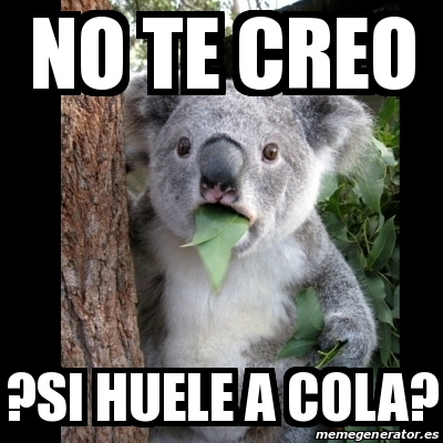 Meme Koala - NO TE CREO ?SI HUELE A COLA? - 18213372