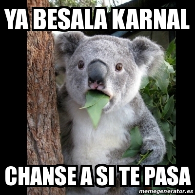 Meme Koala - ya besala karnal chanse a si te pasa - 18215090