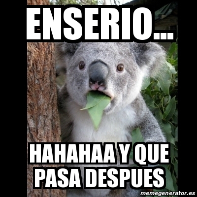 Meme Koala - enserio... hahahaa y que pasa despues - 18220904